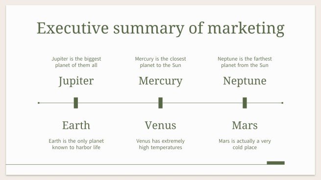 Executive Summary of Marketing Plan Infographics