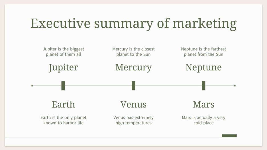Executive Summary of Marketing Plan Infographics