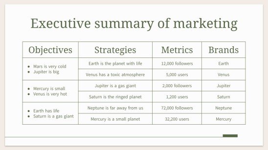 Executive Summary of Marketing Plan Infographics