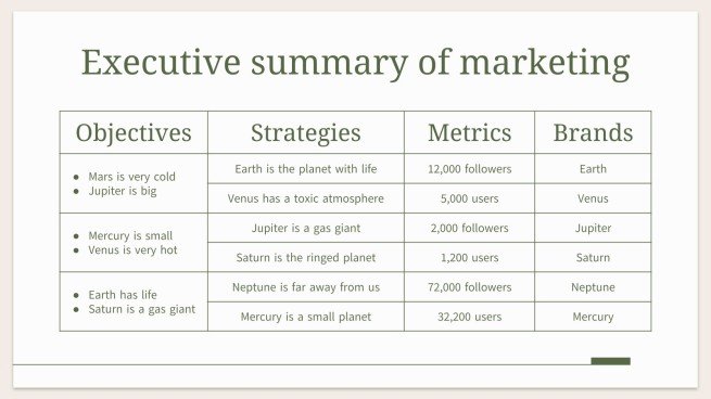 Executive Summary of Marketing Plan Infographics