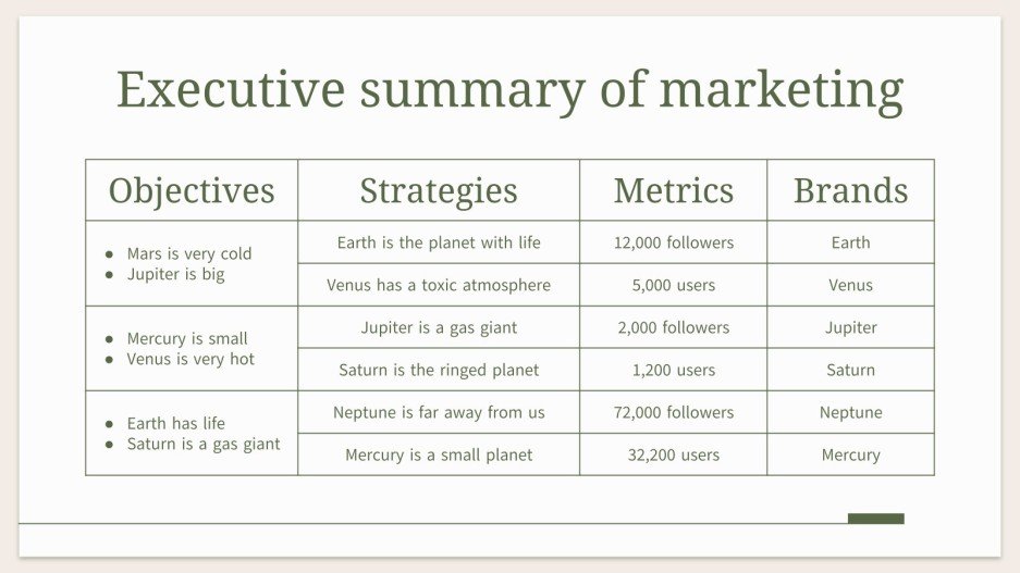 Executive Summary of Marketing Plan Infographics