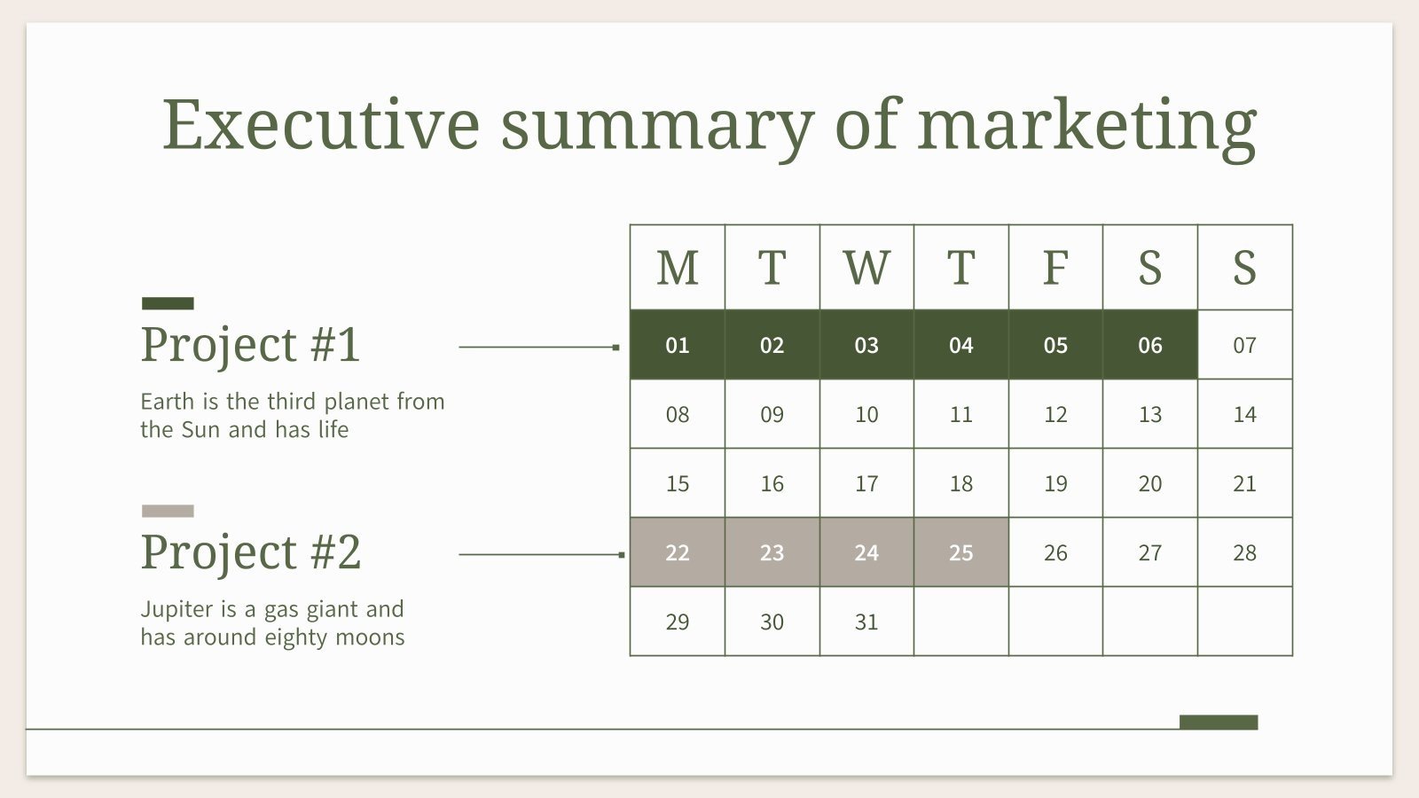 Executive Summary of Marketing Plan Infographics