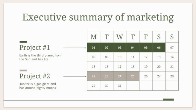 Executive Summary of Marketing Plan Infographics