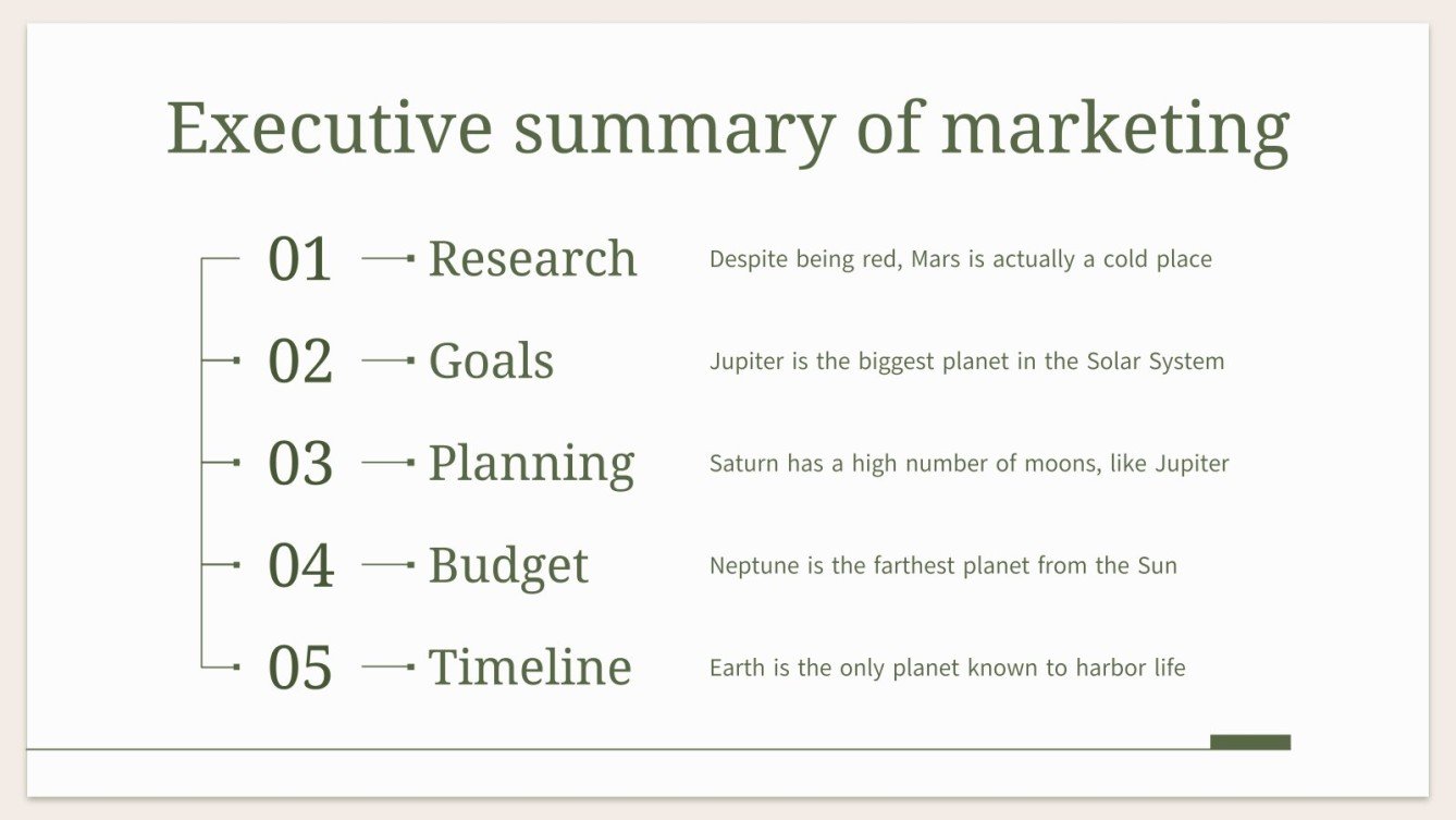 Executive Summary of Marketing Plan Infographics