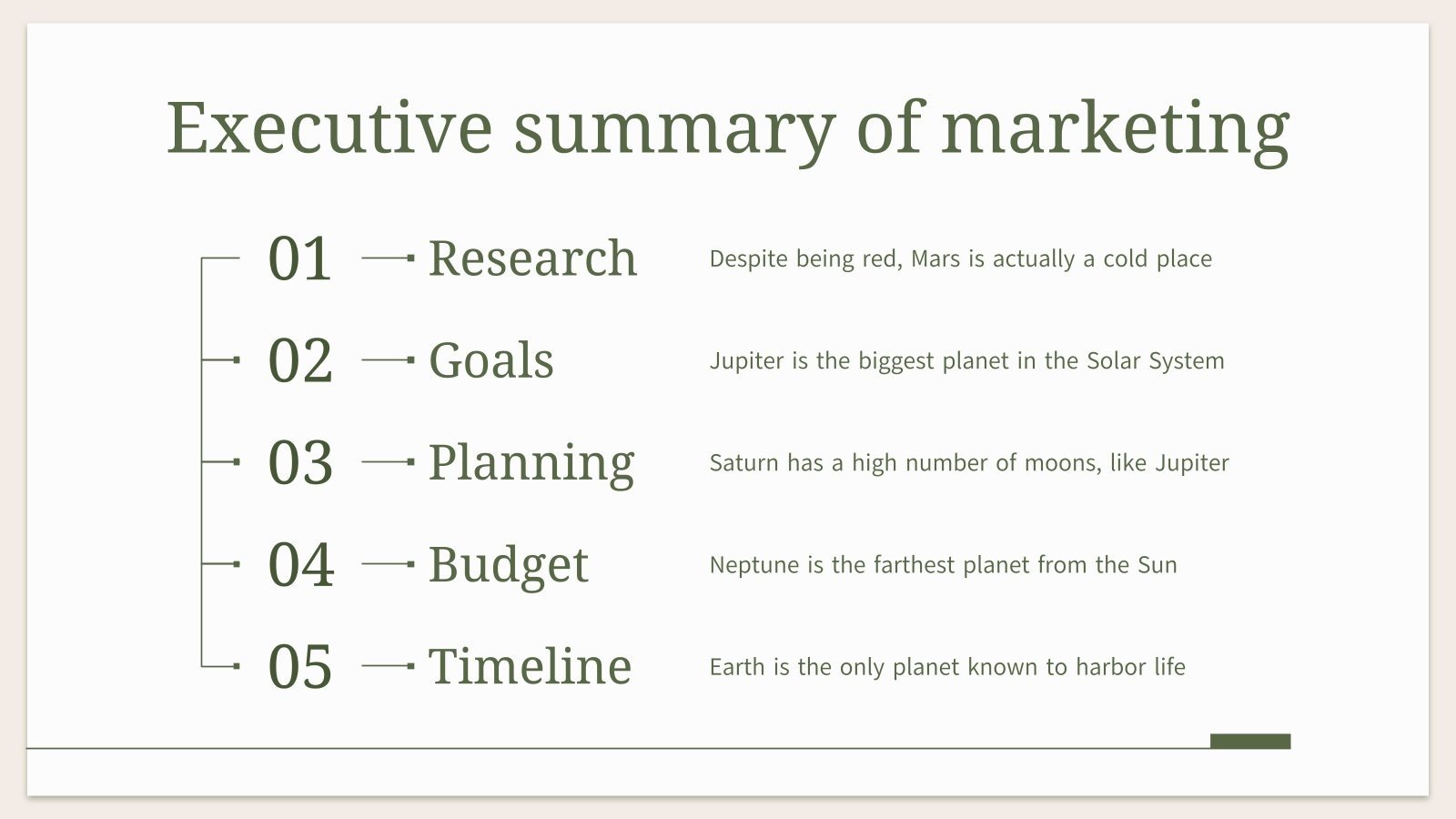 Executive Summary of Marketing Plan Infographics