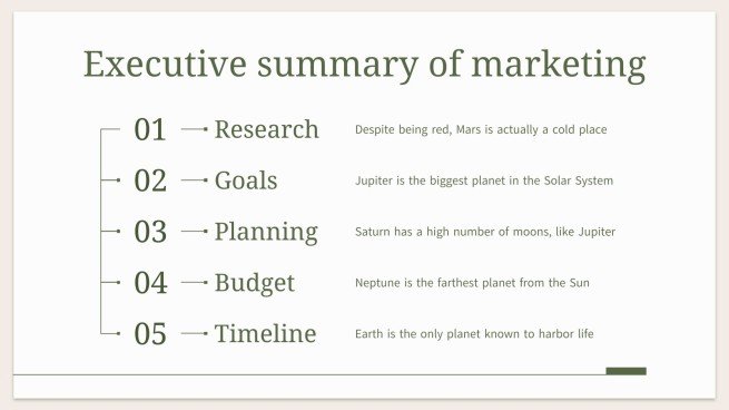 Executive Summary of Marketing Plan Infographics