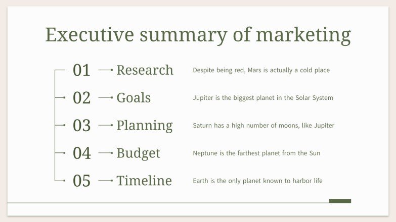 Executive Summary of Marketing Plan Infographics