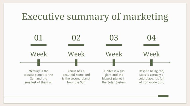 Executive Summary of Marketing Plan Infographics