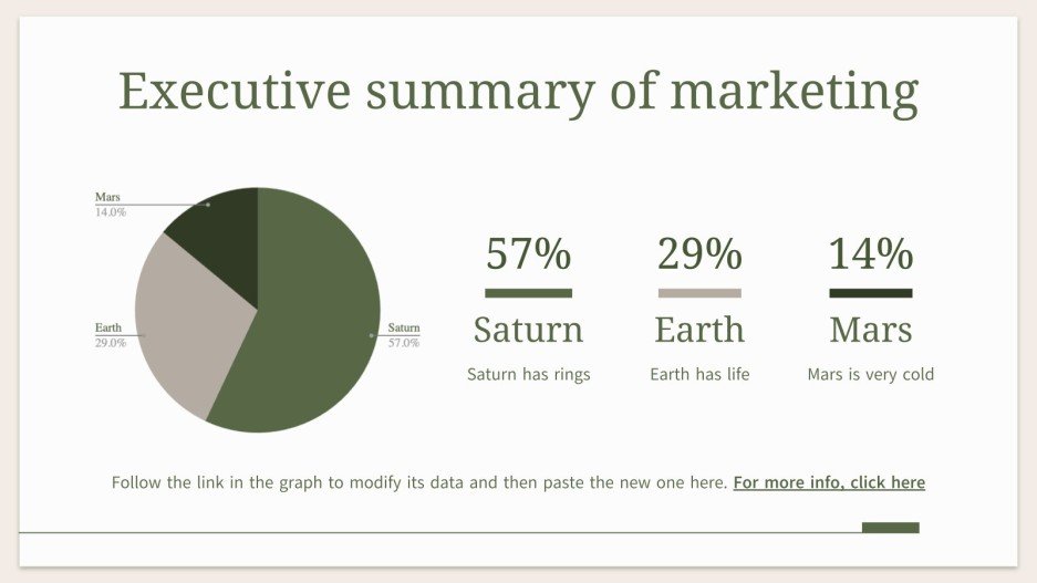 Executive Summary of Marketing Plan Infographics