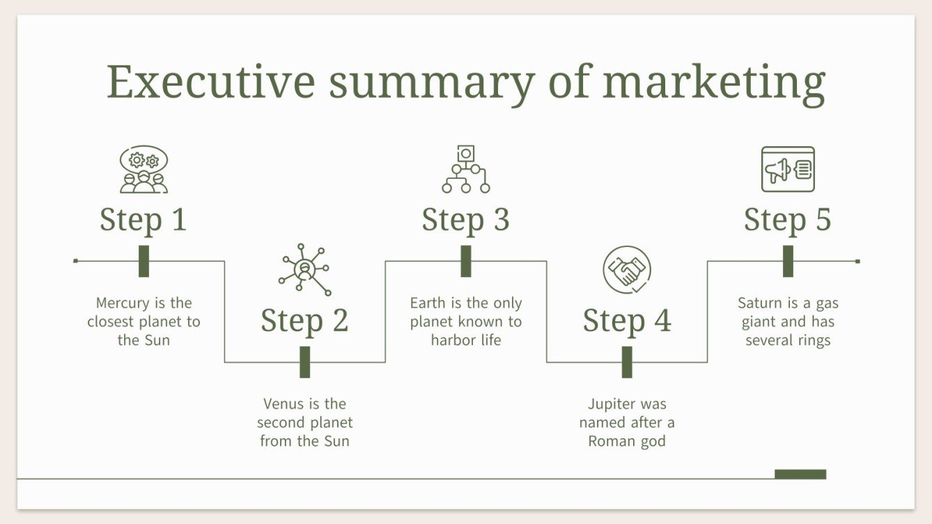Executive Summary of Marketing Plan Infographics