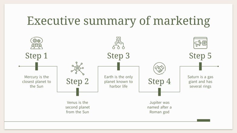 Executive Summary of Marketing Plan Infographics