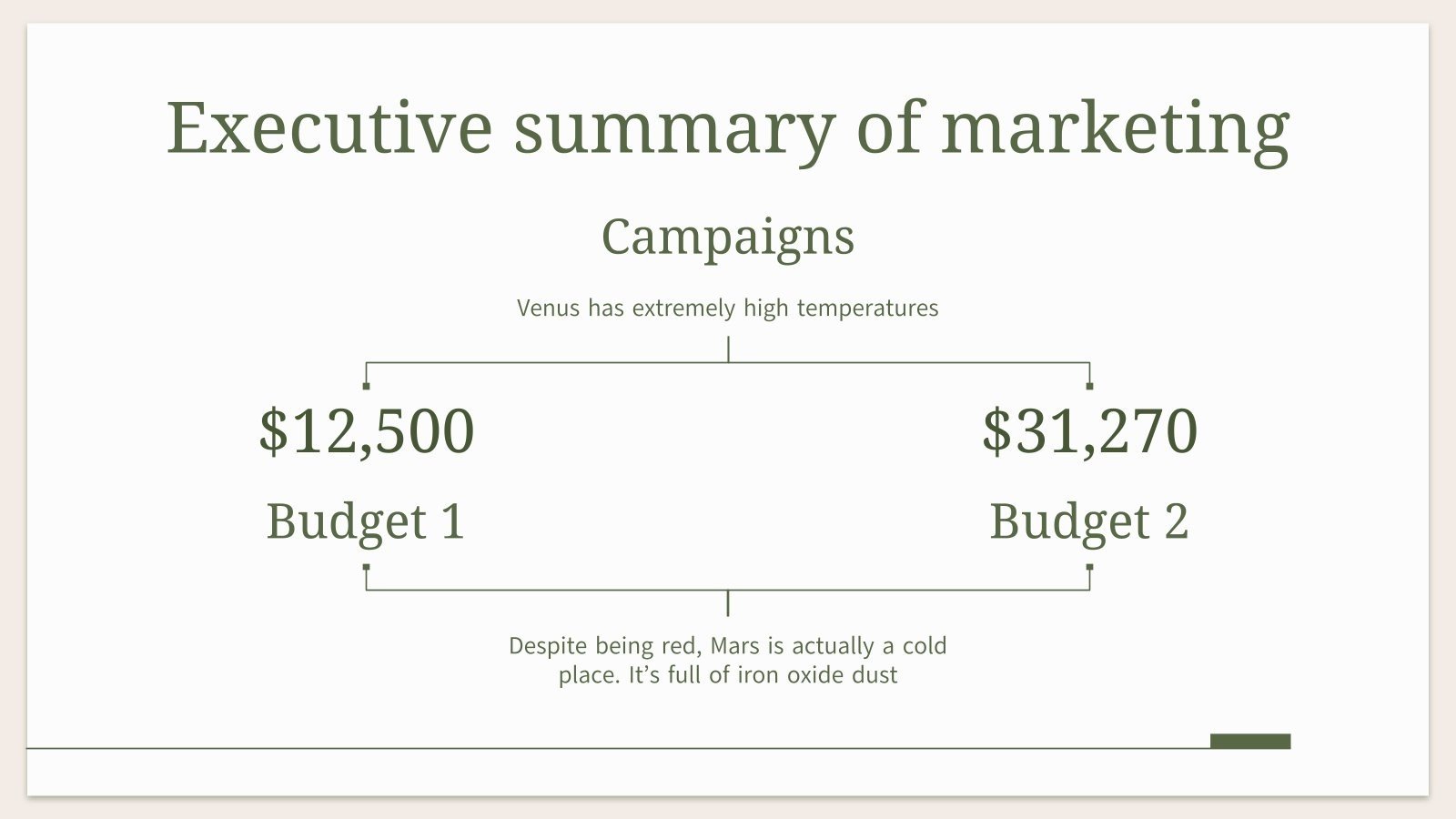 Executive Summary of Marketing Plan Infographics