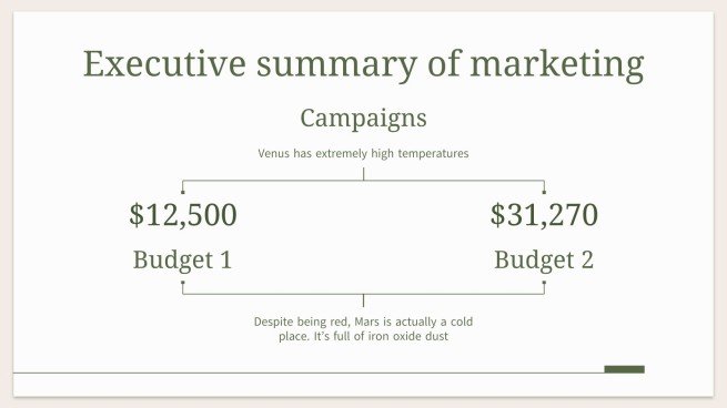 Executive Summary of Marketing Plan Infographics
