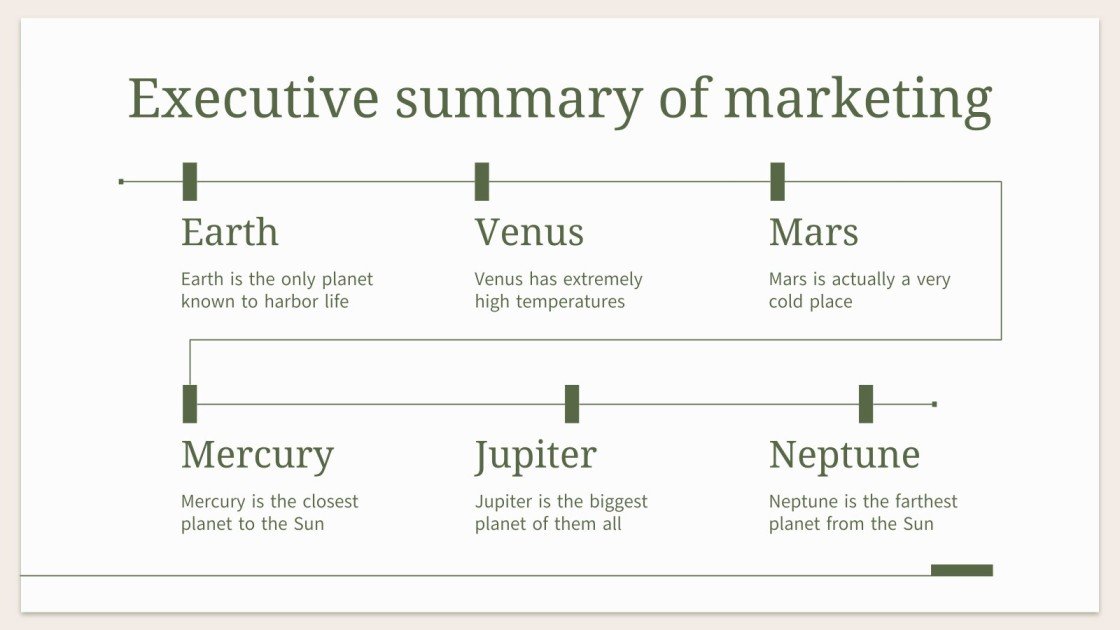 Executive Summary of Marketing Plan Infographics