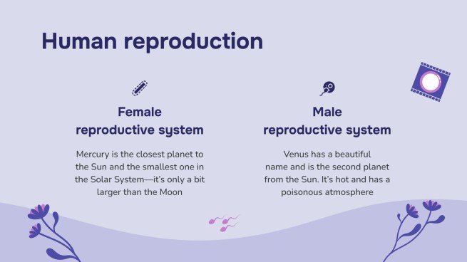 Sexual Health and Reproductive Education - 11th Grade