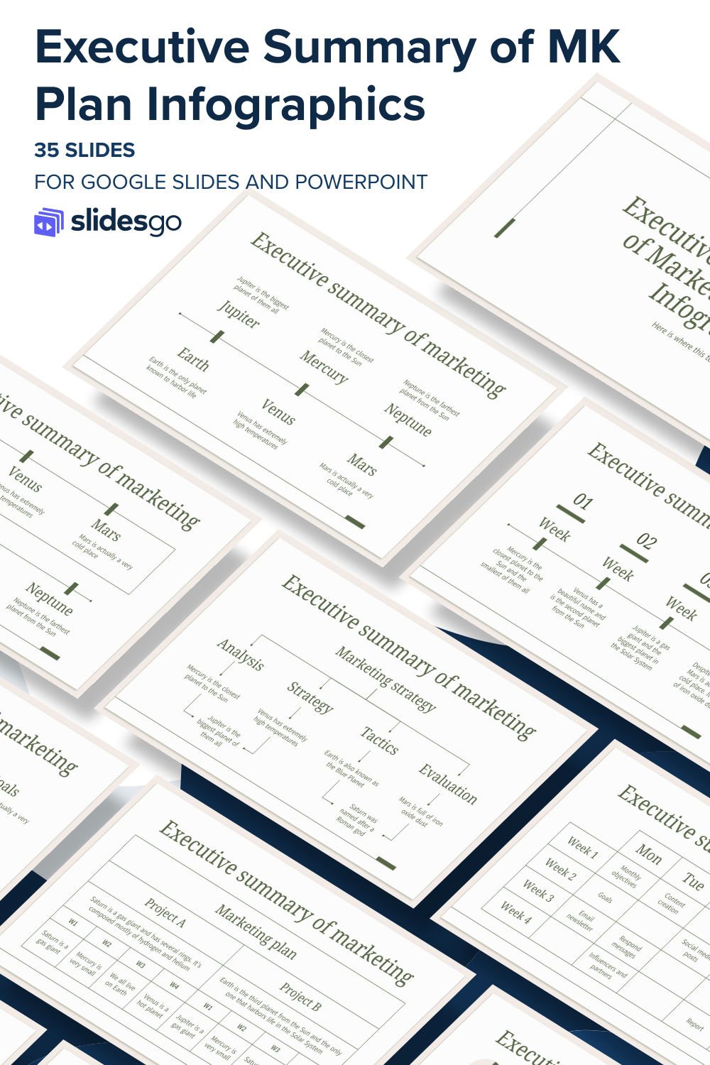 Executive Summary of Marketing Plan Infographics