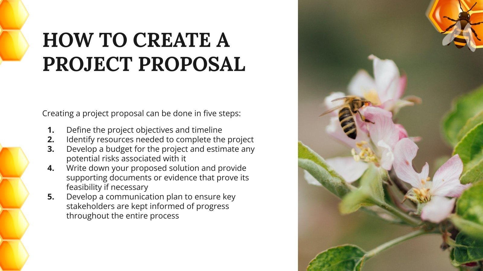 Bees and Sustainable Agriculture Project Proposal