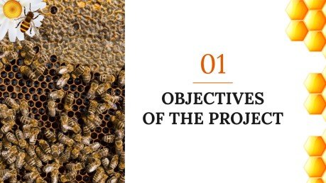 Bees and Sustainable Agriculture Project Proposal