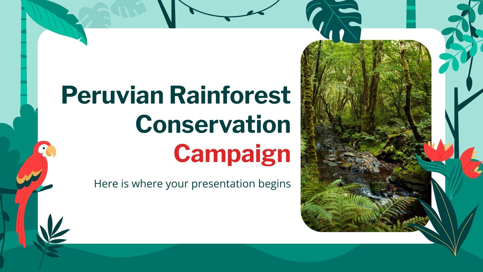Peruvian Rainforest Conservation Campaign Presentation