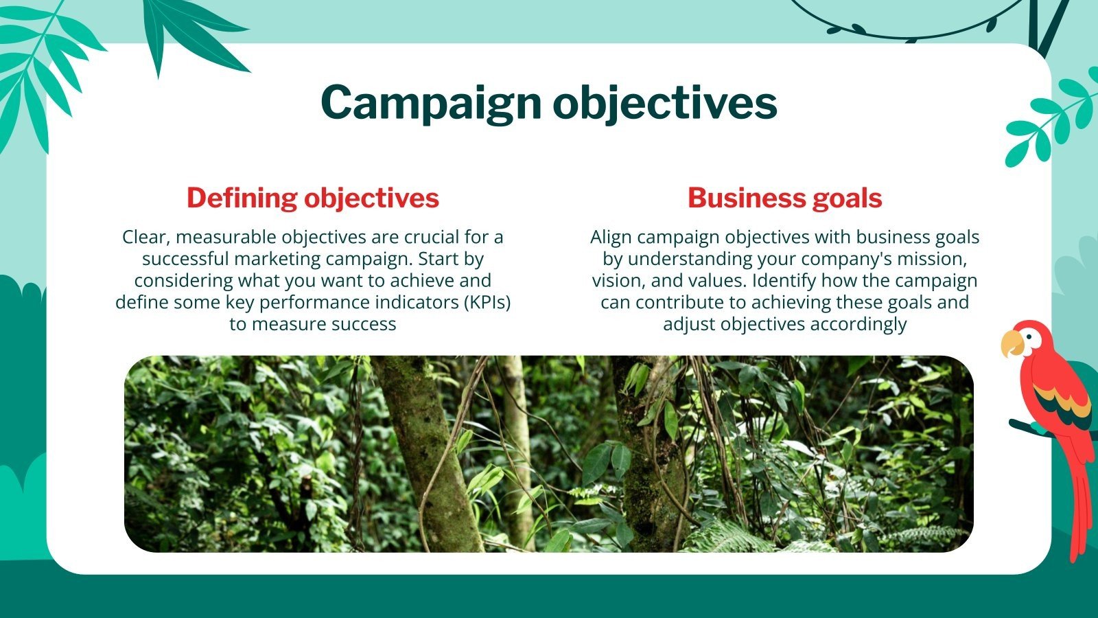 Peruvian Rainforest Conservation Campaign Presentation