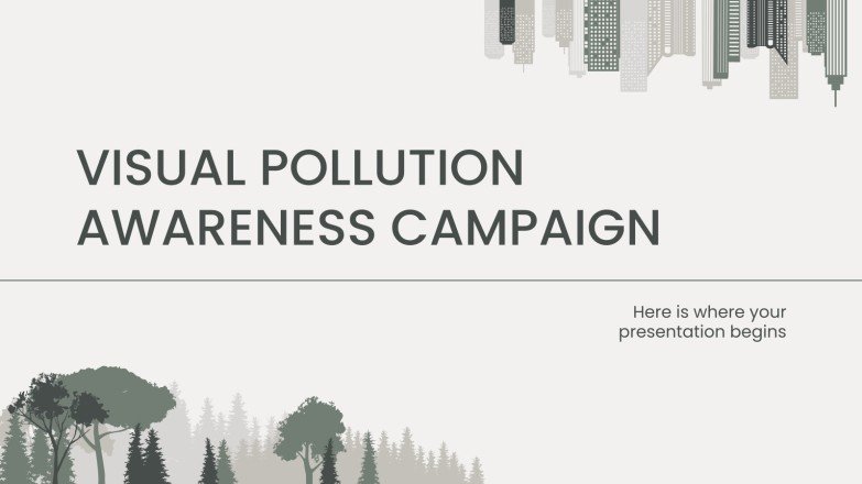 Visual Pollution Awareness Campaign Presentation