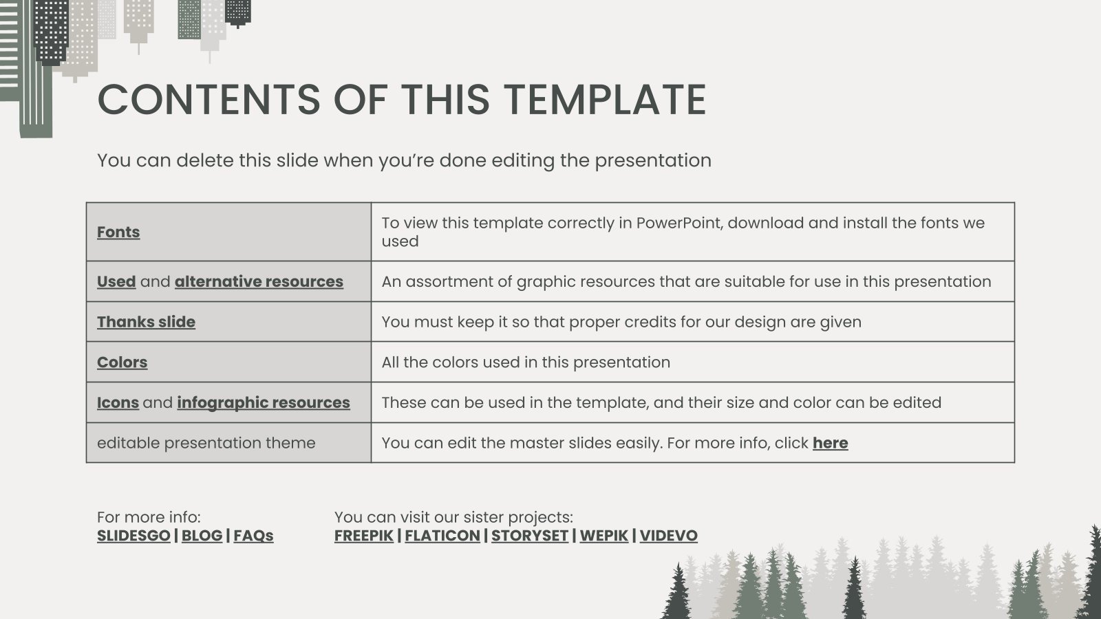 Visual Pollution Awareness Campaign Presentation