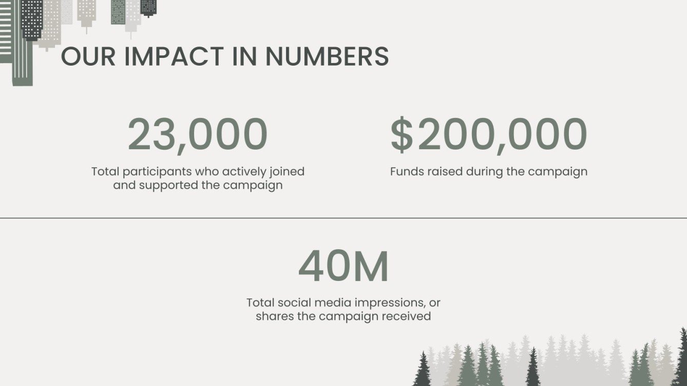 Visual Pollution Awareness Campaign Presentation