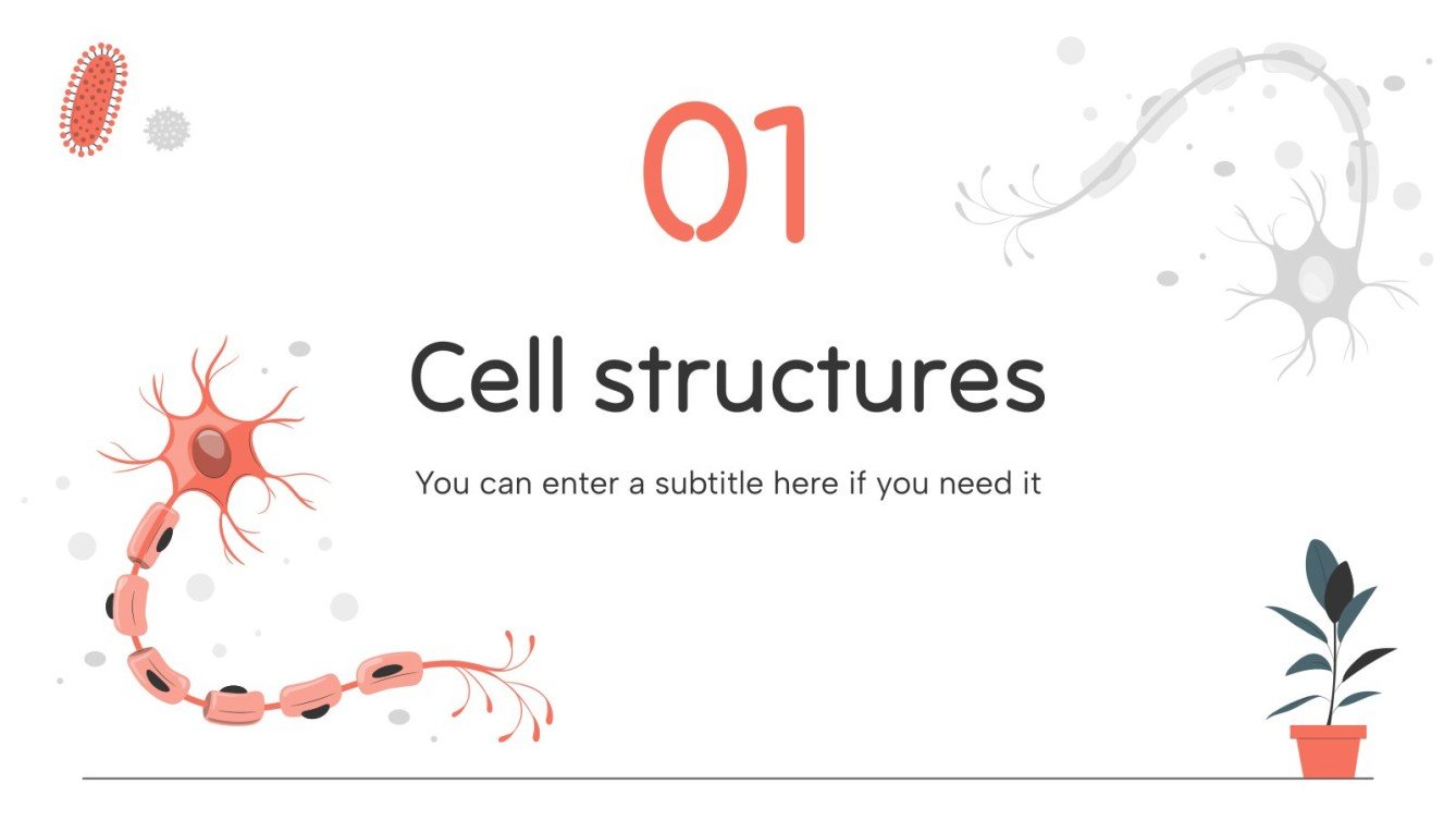 Cell Structure and Function - Science Presentation