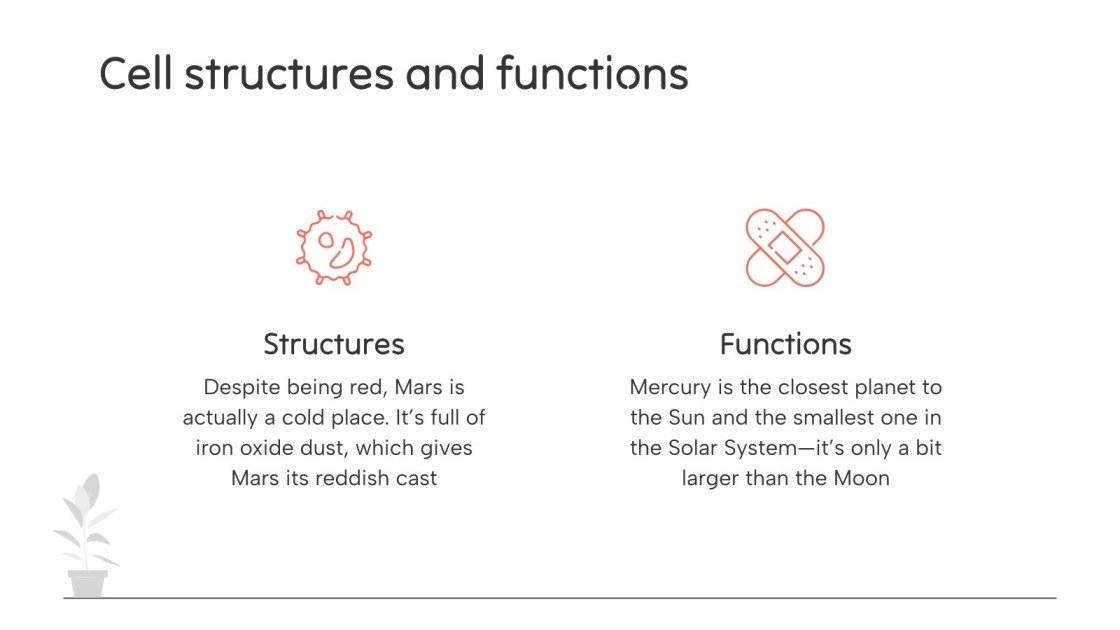 Cell Structure and Function - Science Presentation