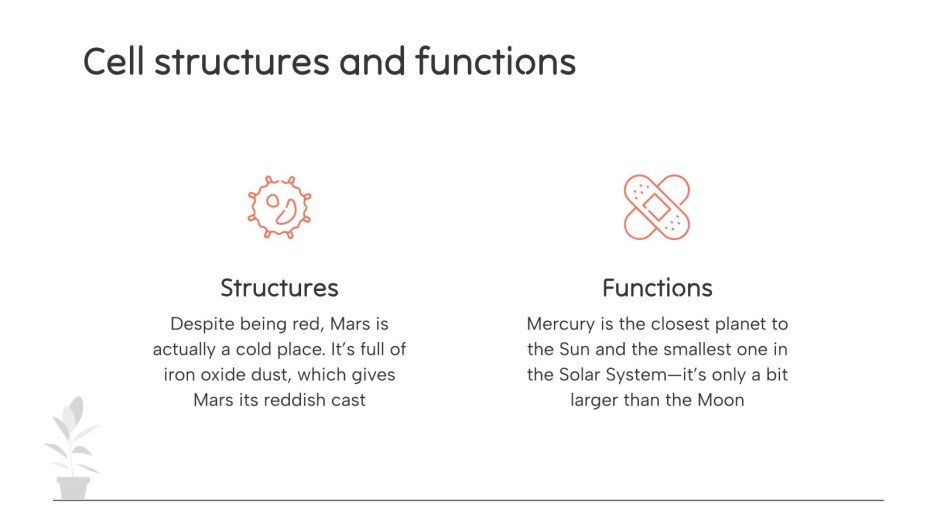 Cell Structure and Function - Science Presentation