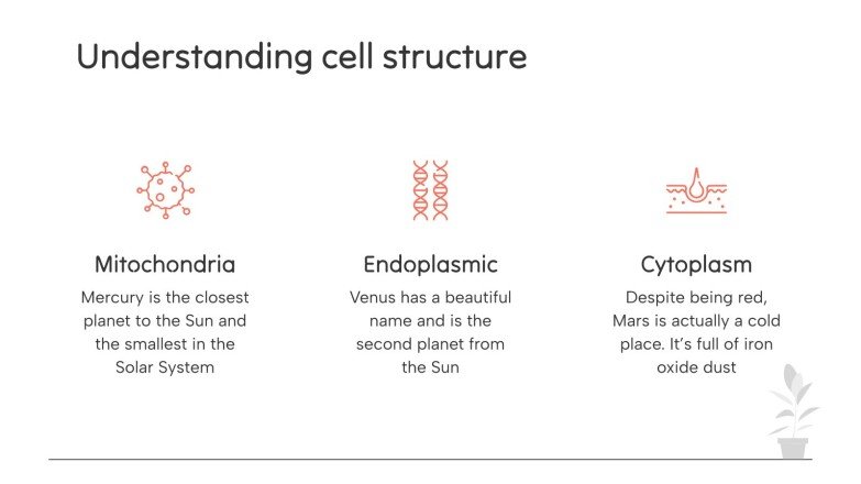 Cell Structure and Function - Science Presentation