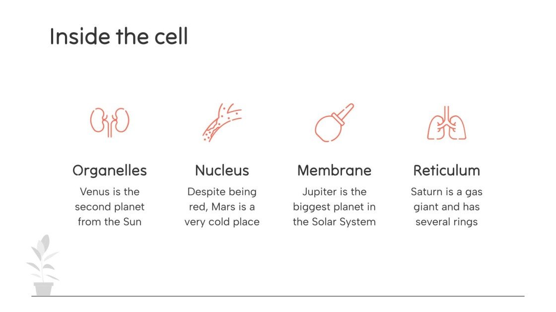 Cell Structure and Function - Science Presentation