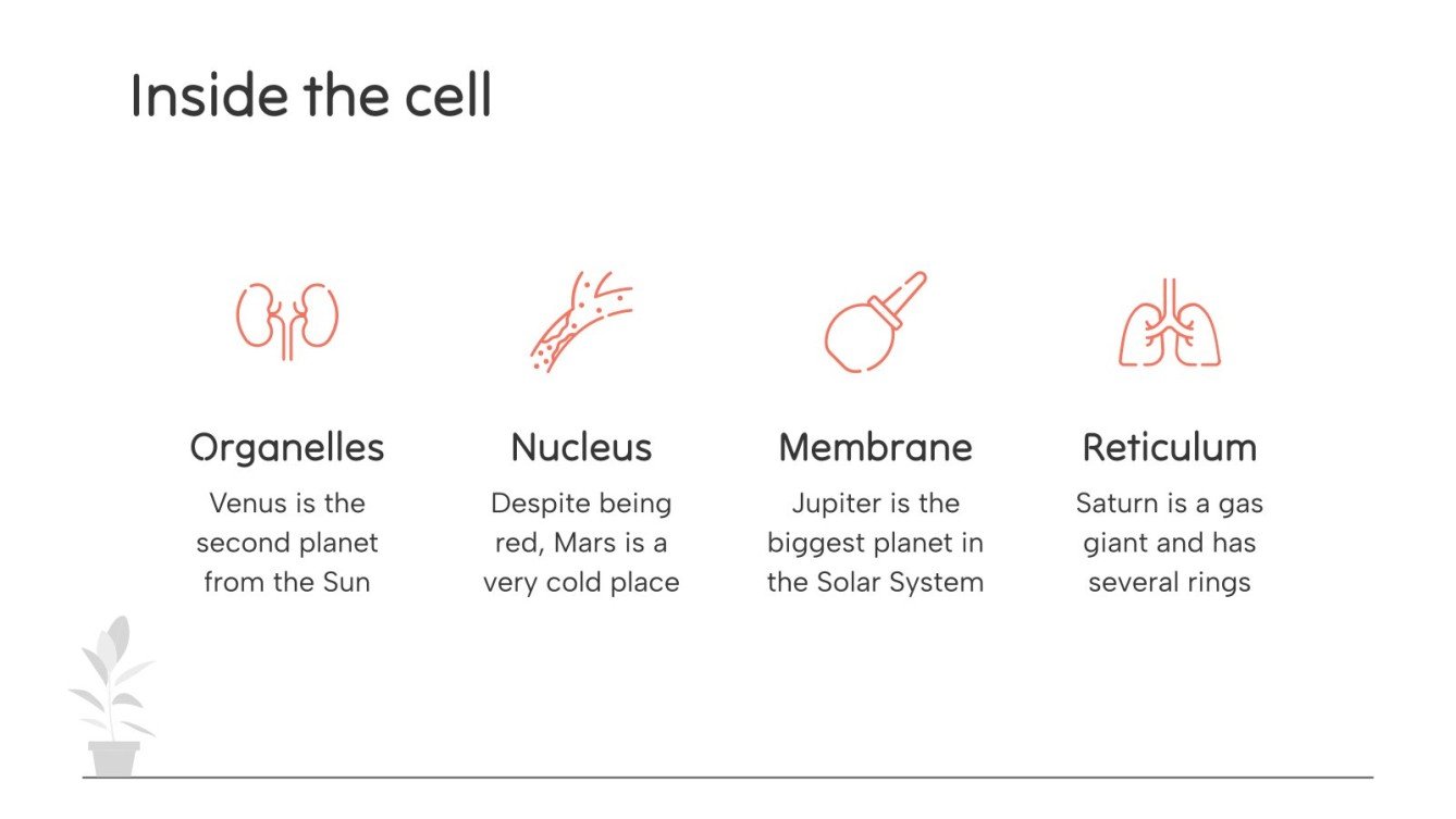 Cell Structure and Function - Science Presentation