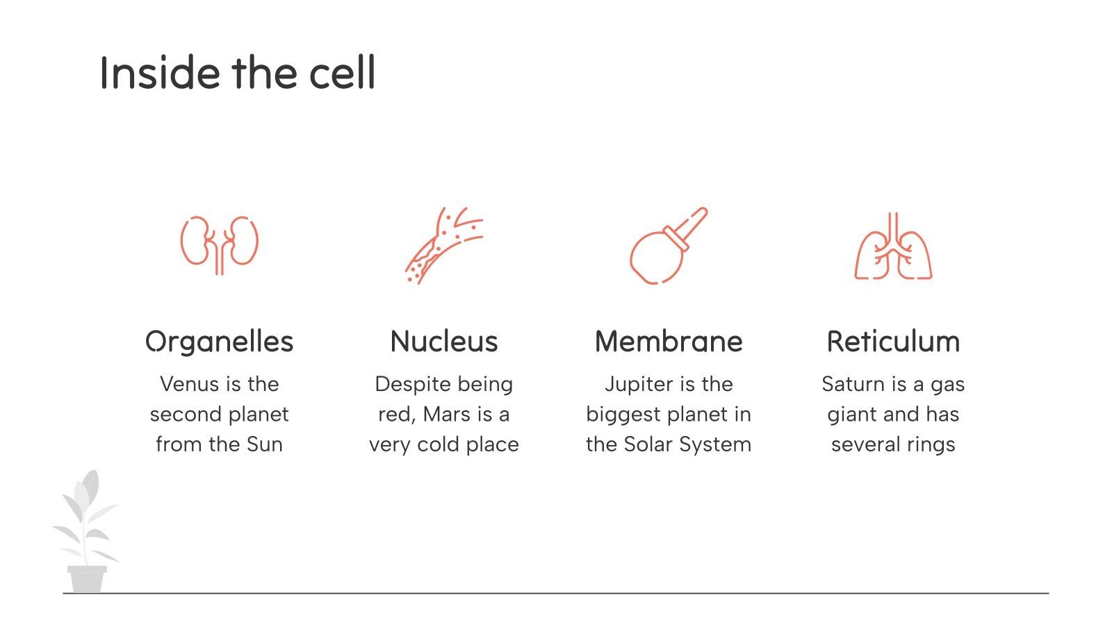 Cell Structure and Function - Science Presentation