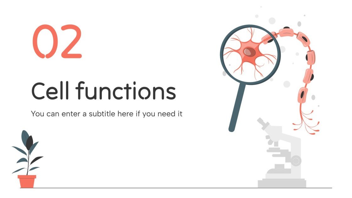 Cell Structure and Function - Science Presentation