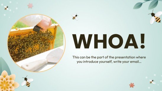 Bees and Beekeeping Presentation