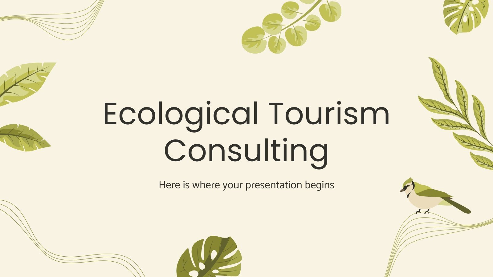 Ecological Tourism Consulting Presentation
