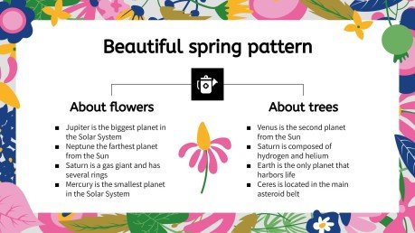 Beautiful Spring Pattern Infographics Template