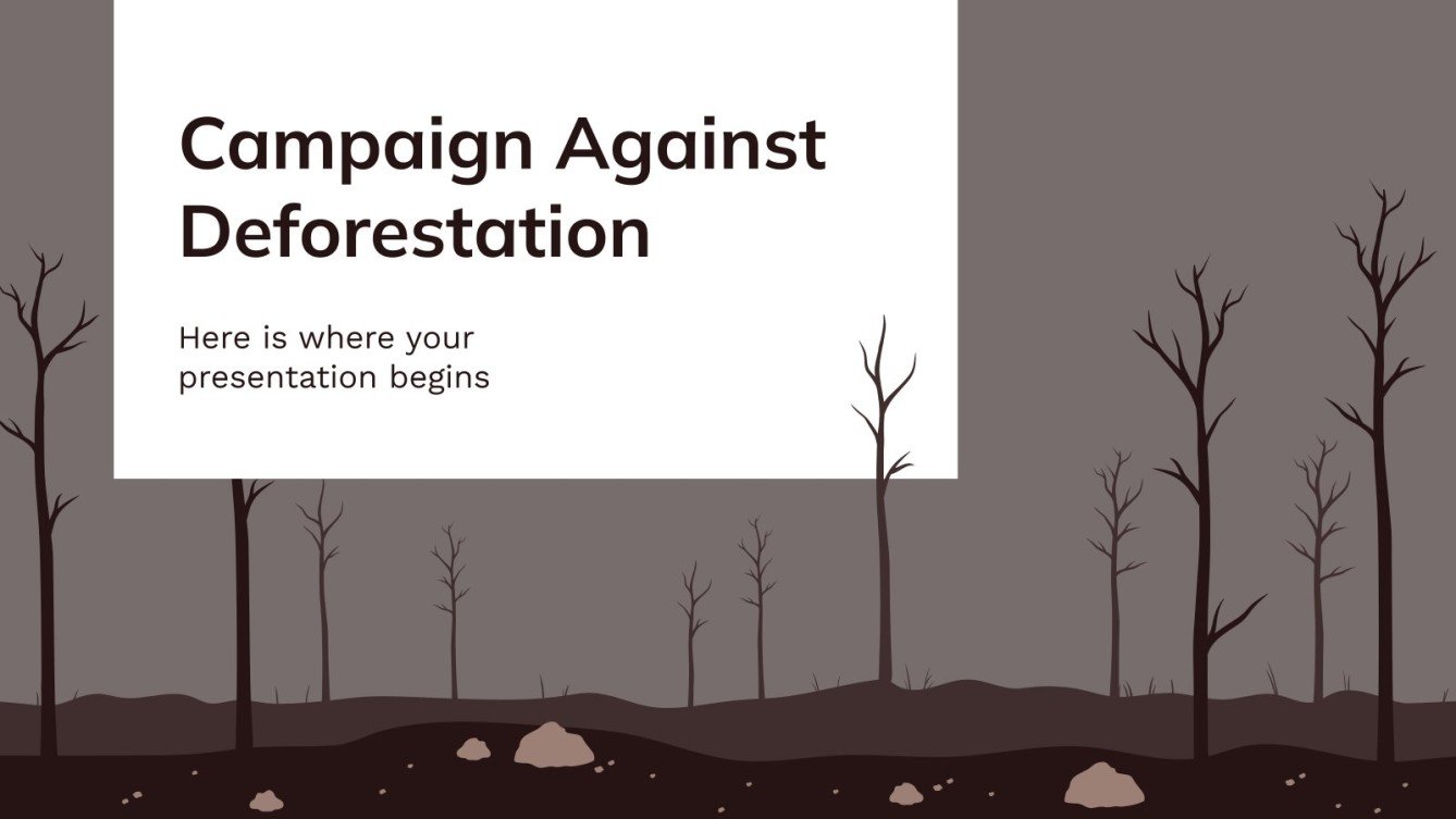 Campaign Against Deforestation Presentation