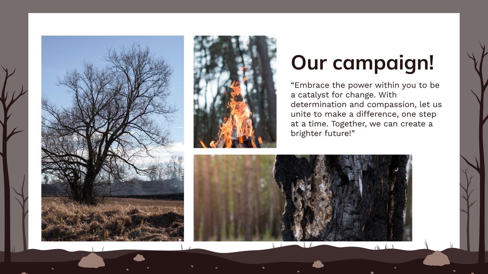 Campaign Against Deforestation Presentation