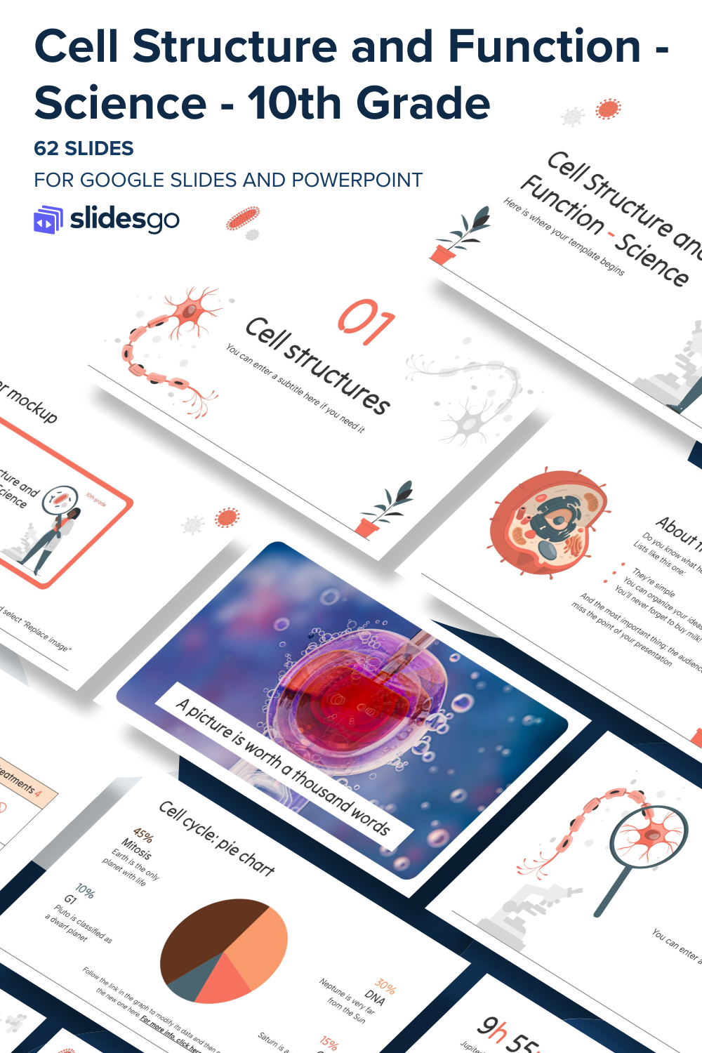 Cell Structure and Function - Science Presentation