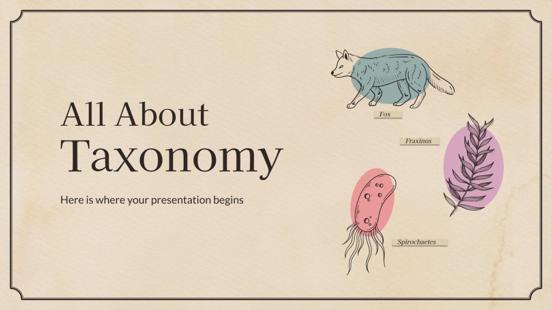All About Taxonomy - Presentation