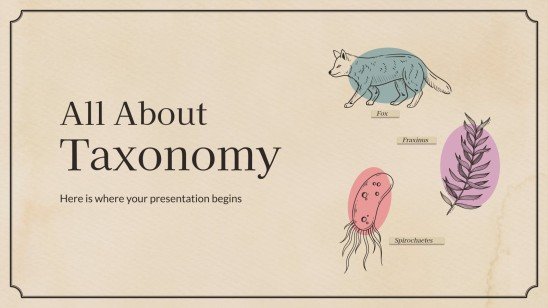 All About Taxonomy - Presentation