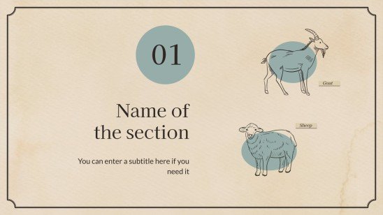 All About Taxonomy - Presentation