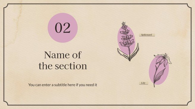 All About Taxonomy - Presentation