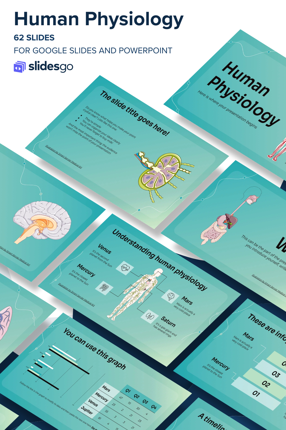 Human Physiology Presentation