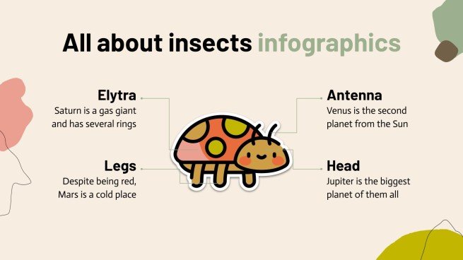 Science for Elementary: All about Insects Infographics
