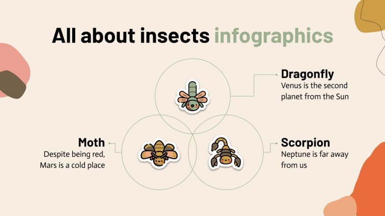Science for Elementary: All about Insects Infographics