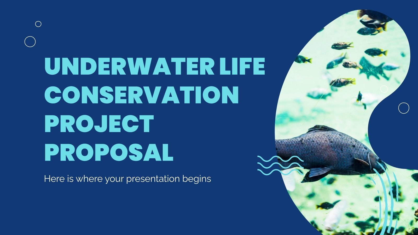 Underwater Life Conservation Project Proposal