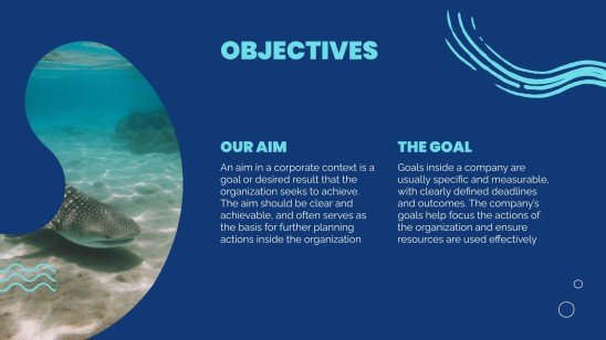 Underwater Life Conservation Project Proposal